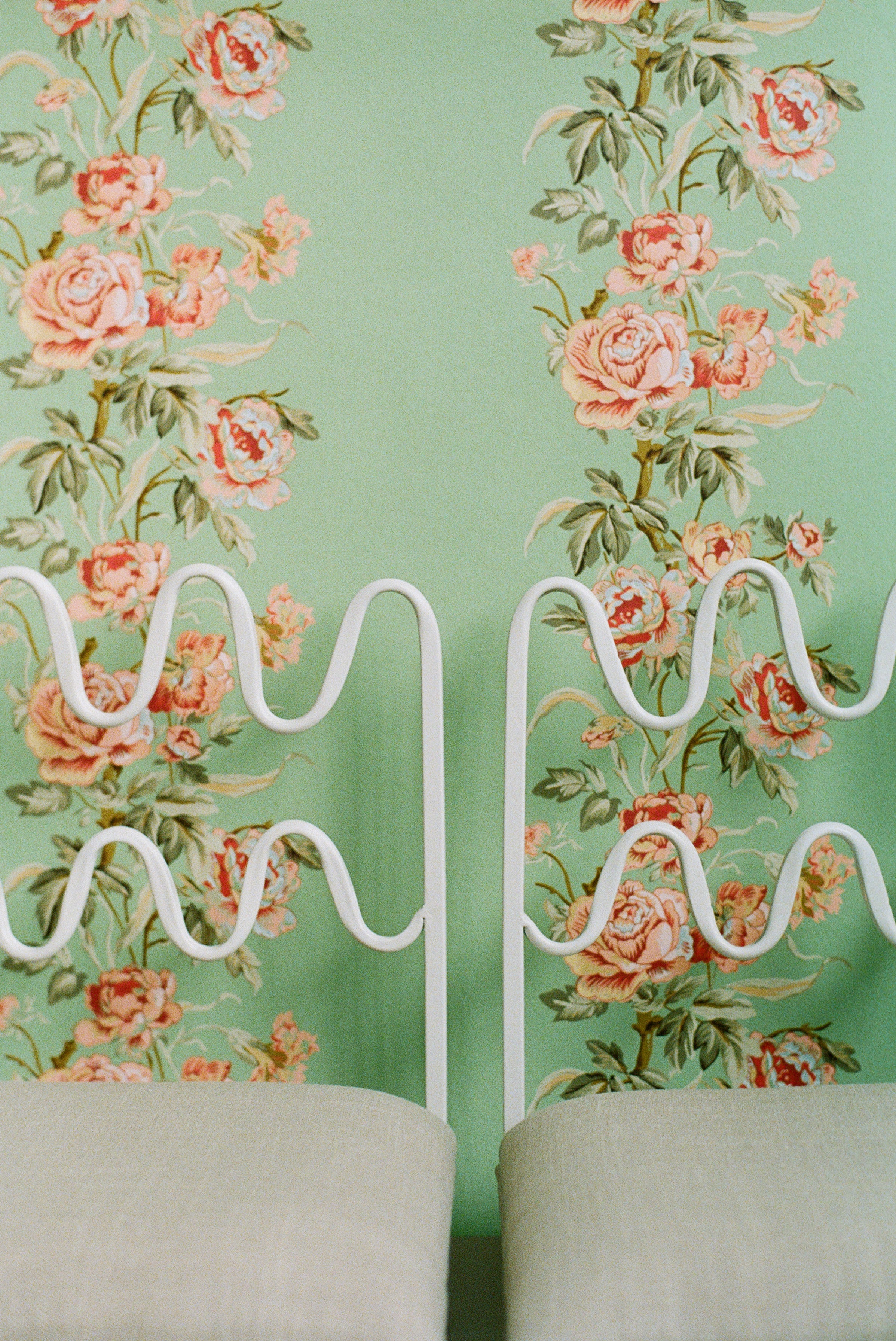 Life's a Picnic with Elaina Bellis